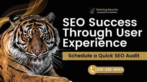 User Experience Optimization In Bradenton Rohring Results