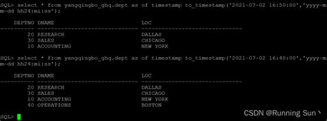 Oracle闪回详解（闪回查询，闪回数据，回退数据，闪回表，闪回数据库，闪回快照，闪回主备库（恢复关系），闪回归档，注意事项，有关闪回常用查询