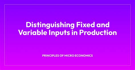 Distinguishing Fixed And Variable Inputs In Production • B Com Institute