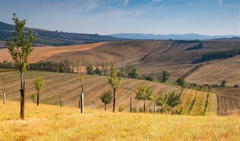 Bezienswaardigheden in Tsjechië dit zijn de hoogtepunten van Tsjechië