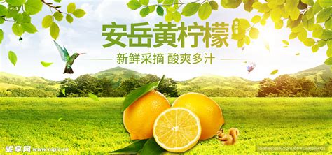柠檬设计图 广告设计 广告设计 设计图库 昵图网
