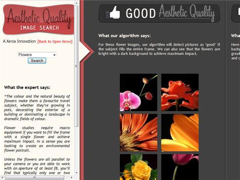 Xerox Aesthetic Quality Algorithm Outed Techradar