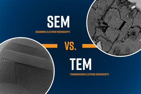Whats The Difference Between SEM TEM Nanoscience Instruments