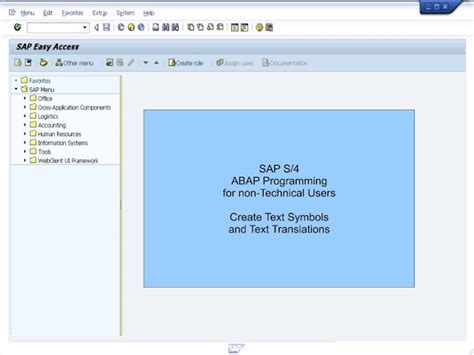 青蛙sap分享 Froggys Sap Sharing S4 Abap Basics Text Symbols