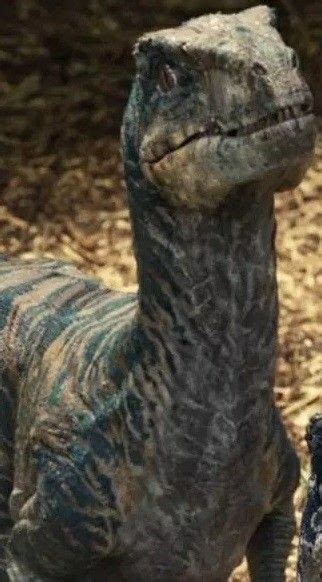 Owen Jurassic World Jurassic World Cast Jurassic World 4 Jurassic
