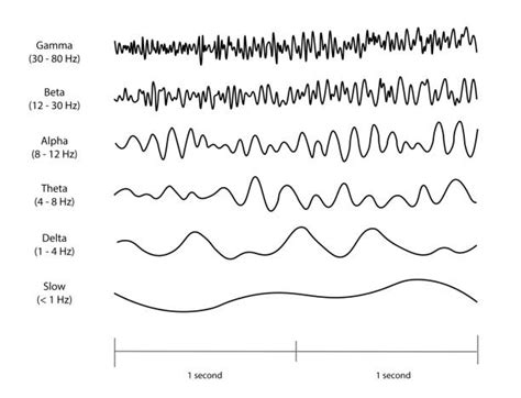 1 800 Eeg Stock Illustrations Royalty Free Vector Graphics And Clip Art Istock