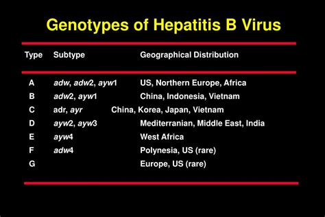 Ppt Hepatitis B Powerpoint Presentation Free Download Id 79538