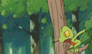 Treecko Evolution Line Appreciation Post Pokémon Amino Treecko Evolution Line Appreciation Post Pokémon Amino