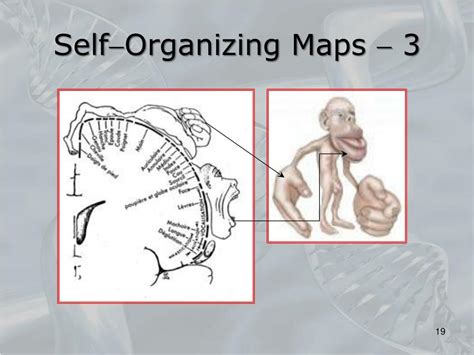 Ppt Unsupervised Models And Clustering Powerpoint Presentation Free Download Id 2276194