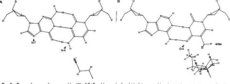 Figure 2 From Molecular Basis Of Dna Sequence Recognition By The Catabolite Gene Activator