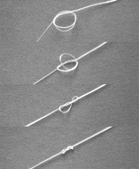 Biodegradable Elastic Shape Memory Polymers For Potential Biomedical Applications Science