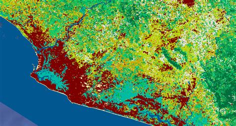 Random Forest Classification Forest Monitoring Training Liberia