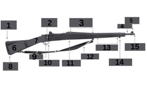 Parts Of The Rifle Flashcards Quizlet