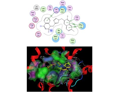 Docking Of Compound 3d Into Pde4b Pdb Code 1xmy Download