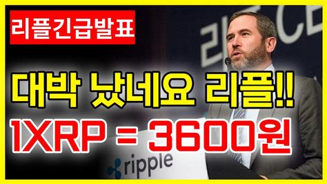 리플 긴급 진짜 와대박났습니다결국 이겼습니다 리플호재 Youtube