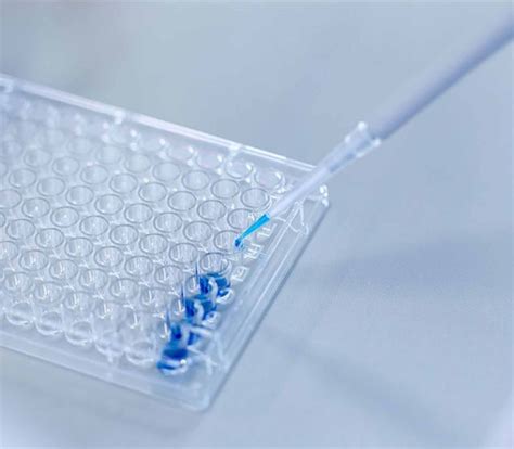 How To Validate Sample Dilutions And Achieve Linearity In New Sample