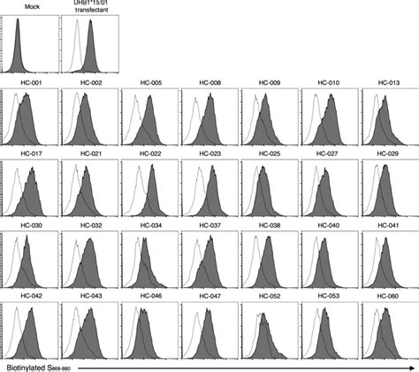 Presentation Of S868 880 Epitope On Multiple Hla Alleles Transformed B