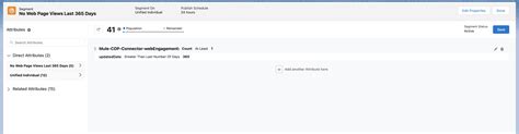 Salesforce Data Cloud Setup Guide Mulesoft Documentation