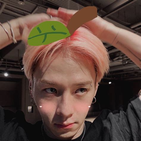 도니츠 Dooonya Twitter