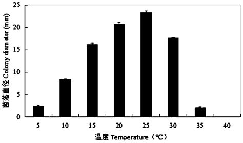 Culture Method Of Sugarcane Brown Spot Pathogens Eureka Patsnap