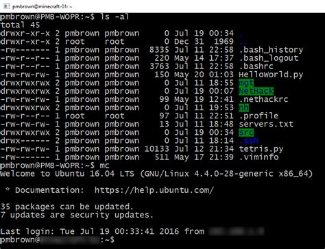 Fun With The Windows Subsystem For Linux Windows Developer Blog