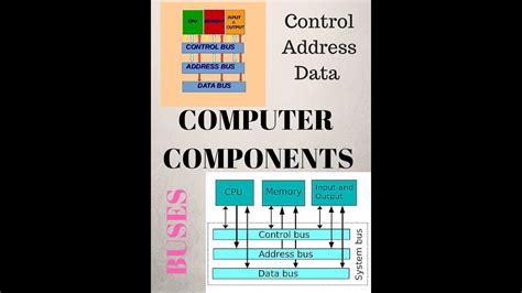 Data Buses Computer Components Youtube