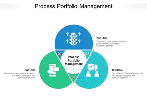 Process Portfolio Management Ppt Powerpoint Presentation Portfolio Template