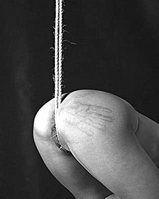 Tb Collection Pain Or Lust Vii Porn Pictures Xxx Photos Sex Images Pictoa