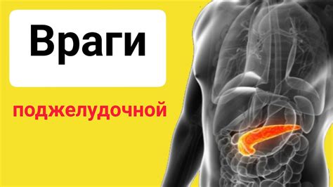Что вредит поджелудочной| работа поджелудочная| панкреатит - что ...