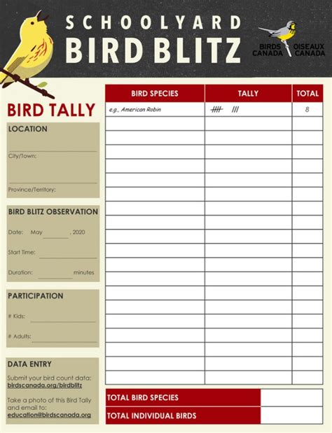 Schoolyard Bird Blitz Birds Canada Oiseaux Canada