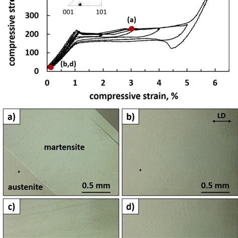 In Situ Ist Under Se Compressive Loading At 100 C For The Co Ni Ga Download Scientific Diagram