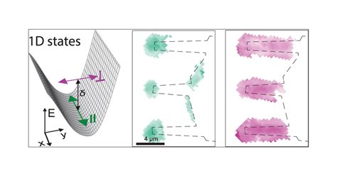 Valley Hybridized Gate Tunable 1d Exciton Confinement In Mose2 Acs Nano