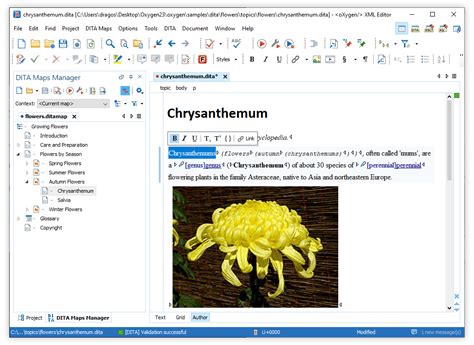What S New In Oxygen XML Editor 23 0