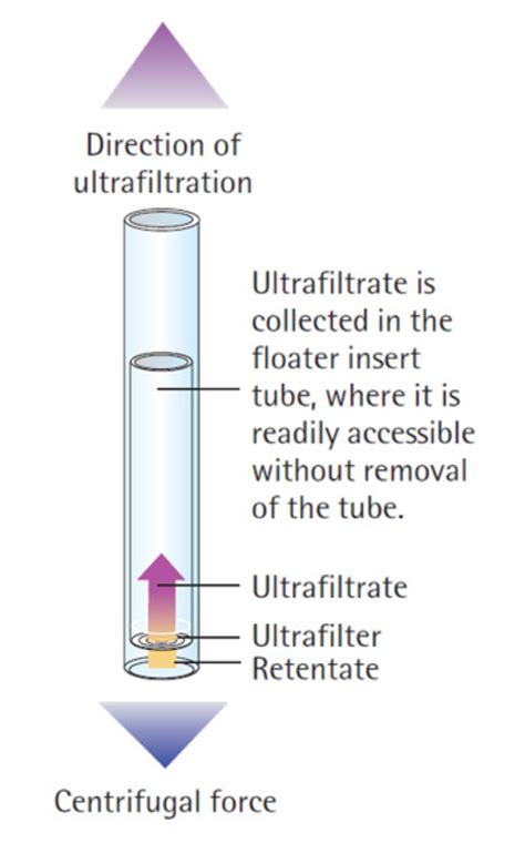 Protein Purification Affordable High Quality At Lubio