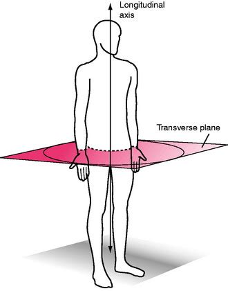 Longitudinal Axis
