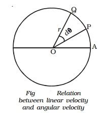 Relation Between Linear Velocity And Angular Velocity