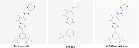 Chemical Structures Of Leptomycin B And Two Sine Compounds Chemical