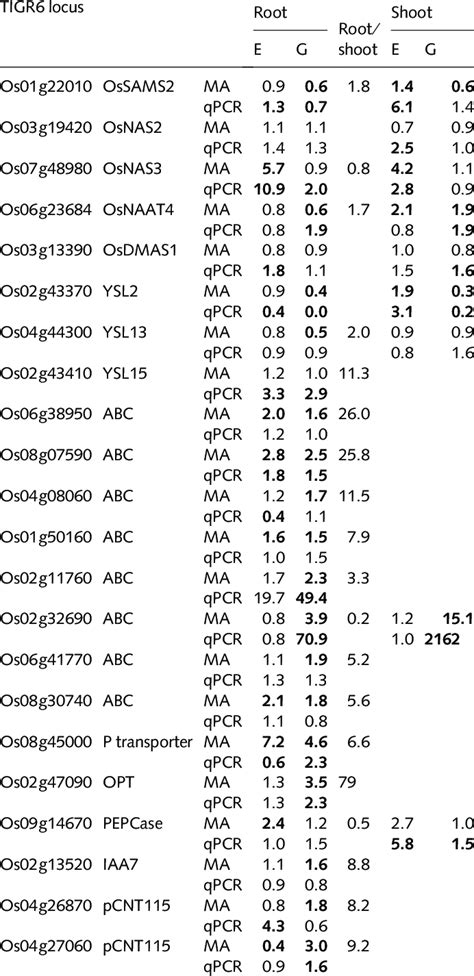 Comparison Of Microarray Ma And Quantitative Rt Pcr Qpcr Results In Download Table