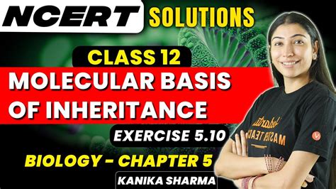 Molecular Basis Of Inheritance Class 12 Chapter 6 Biology NCERT