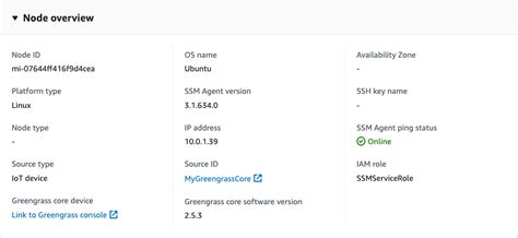 如何使用 Aws Systems Manager 集中管理 Aws Iot Greengrass 设备 亚马逊aws官方博客