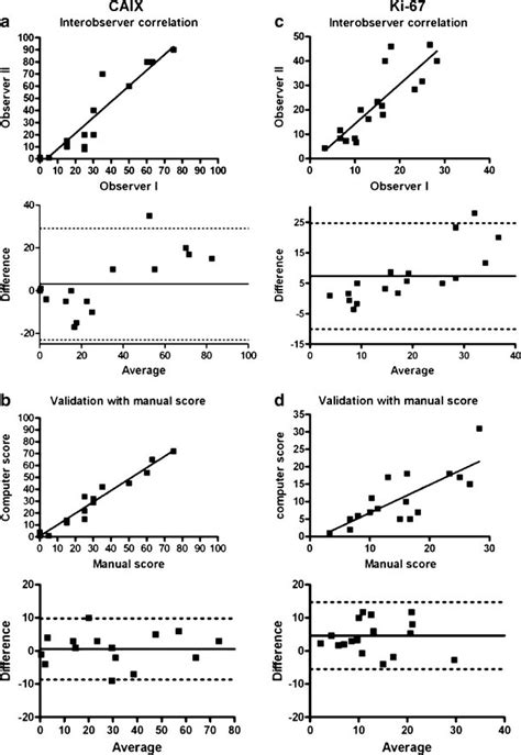 Correlation Of Automated Analysis With Manual Scoring A Strong Download Scientific Diagram