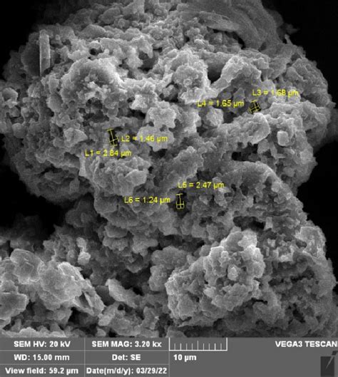 Micrograph Of A Sample Obtained From Sem Analysis Download Scientific Diagram