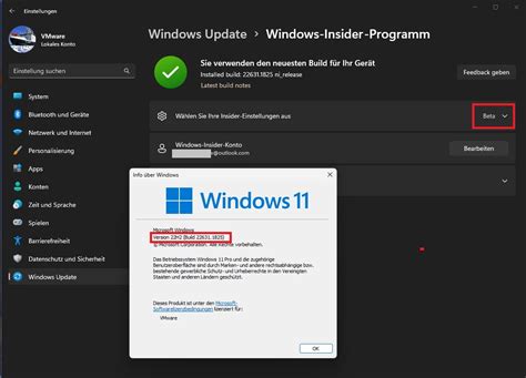 Beta Windows 11 Insider Preview 226212271 226312271 Nirelease