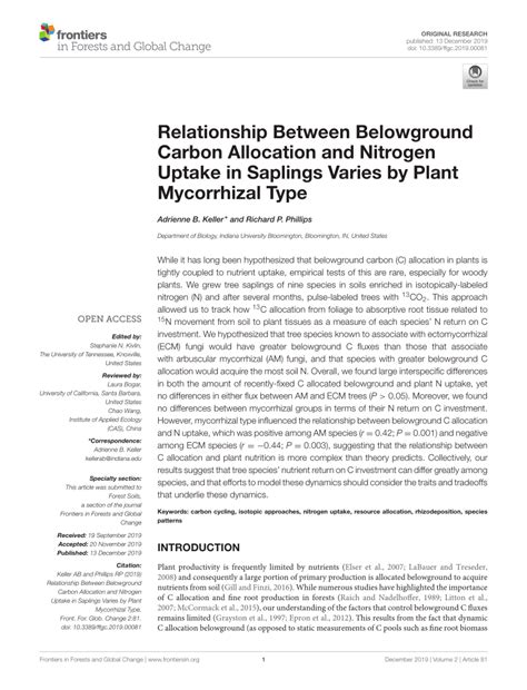 Pdf Relationship Between Belowground Carbon Allocation And Nitrogen