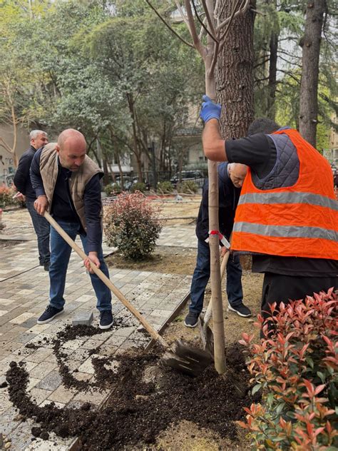 აკაკი ალადაშვილი Akaki Aladashvili ♻️ დედაქალაქის გამწვანებას განსაკუთრებული მნიშვნელობა