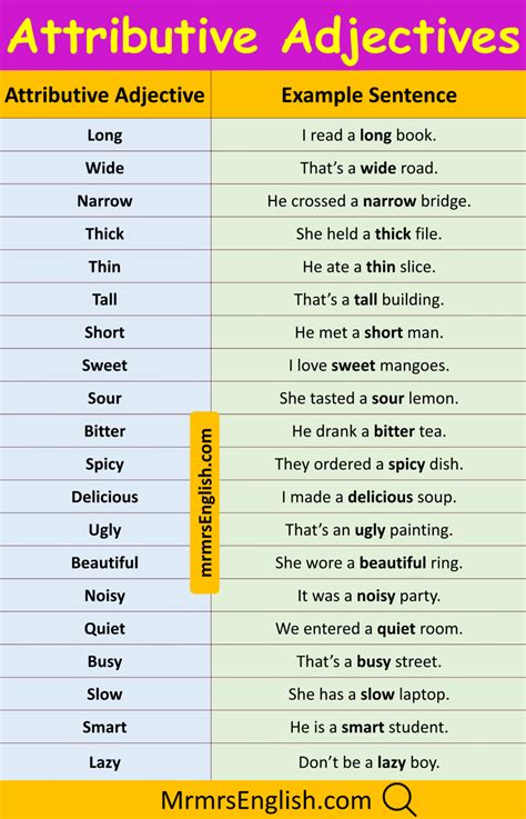 Attributive Adjectives Examples Sentences In English With Pictures Mr