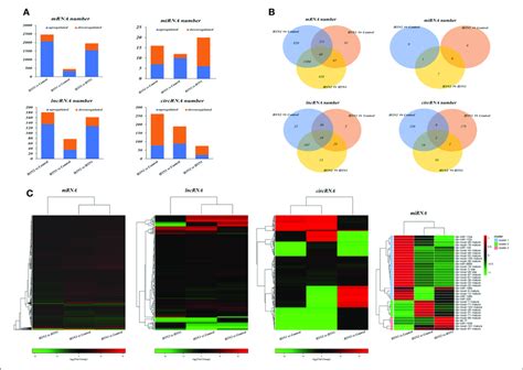 a statistical histogram of the differential expression analysis