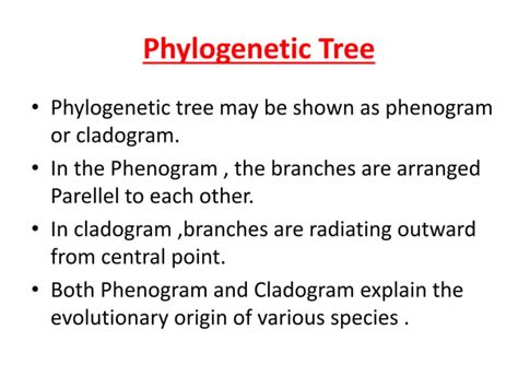 Basic Concepts In Systamatics Taxonomy And Phylogenetic Tree Pptx