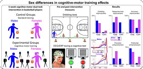 Sex Differences In Cognitive Motor Dual Task Training Effects And In