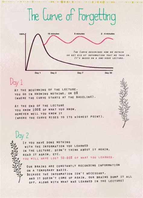 Memory Retention And The Forgetting Curve Infographic Artofit